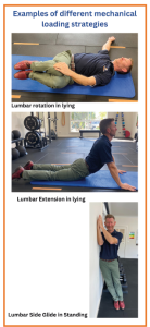 Discogenic Back Pain: What is it, Causes & What to Do About It